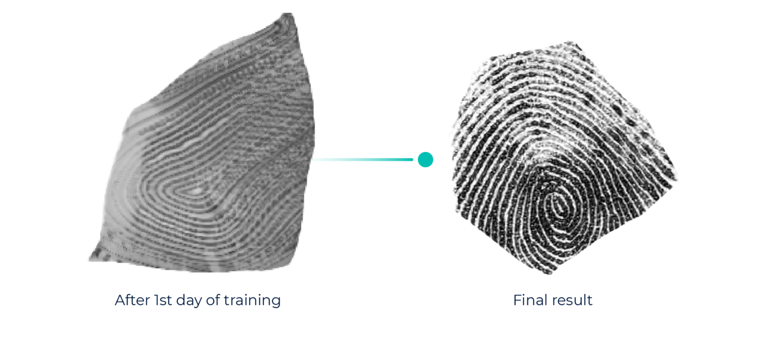 The magic of synthetic data: How nonexistent fingerprints help identify ...
