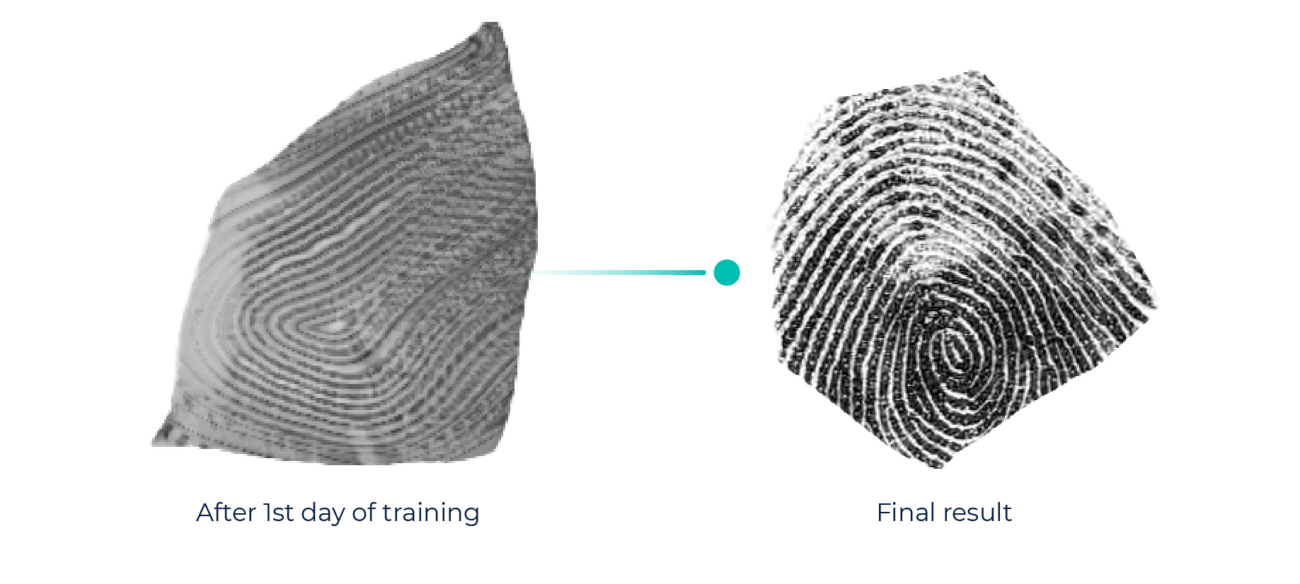The magic of synthetic data: How nonexistent fingerprints help identify ...