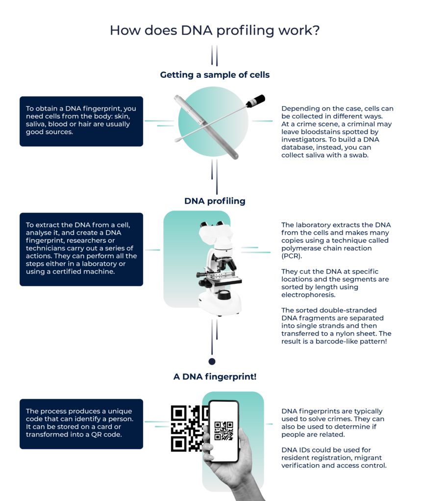 Entering the era of DNA IDs: Will DNA become an integral part of our ...