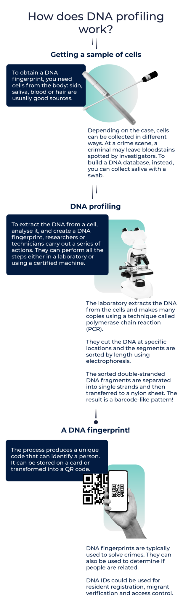 Entering the era of DNA IDs: Will DNA become an integral part of our ...